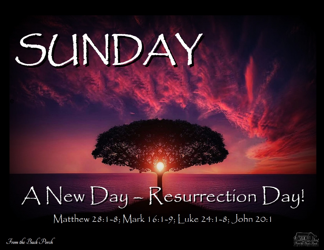 Holy Week – Easter Sunday | From The Back Porch